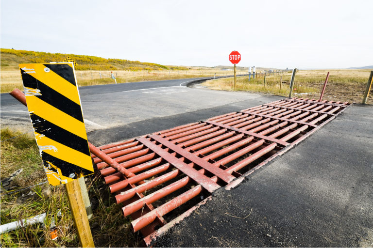 Sharing the roads with cattle - Speaking of Safety