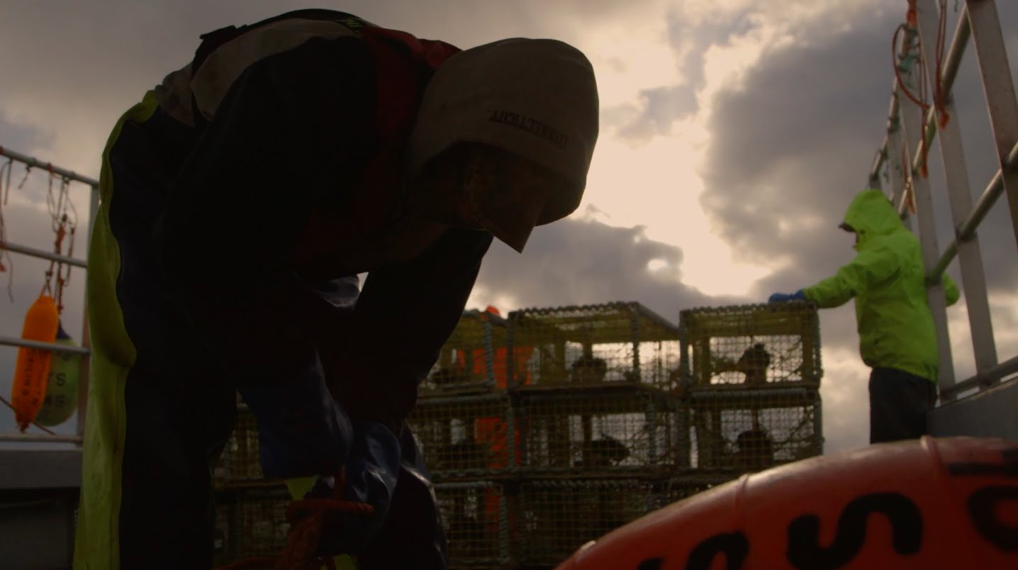 Improving safety culture in the fishing industry - Speaking of Safety